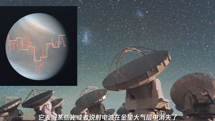 给孩子们的大师讲堂